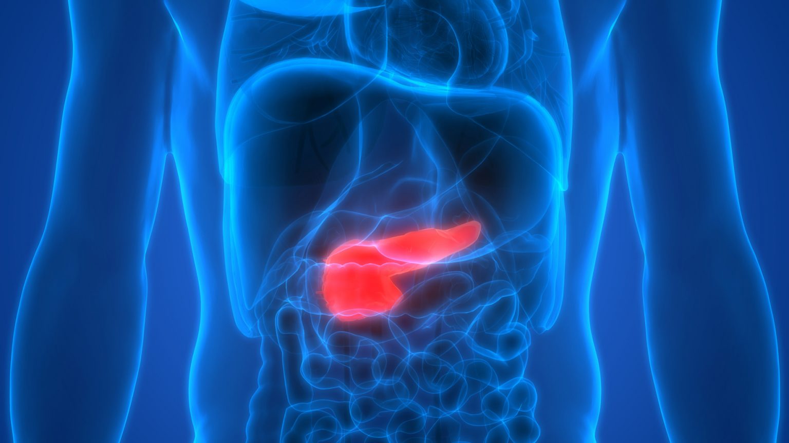 Tumore al pancreas: una speranza dall'immunoterapia