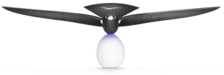 Bionicbird MetaBird: Il drone ispirato al volo degli uccelli