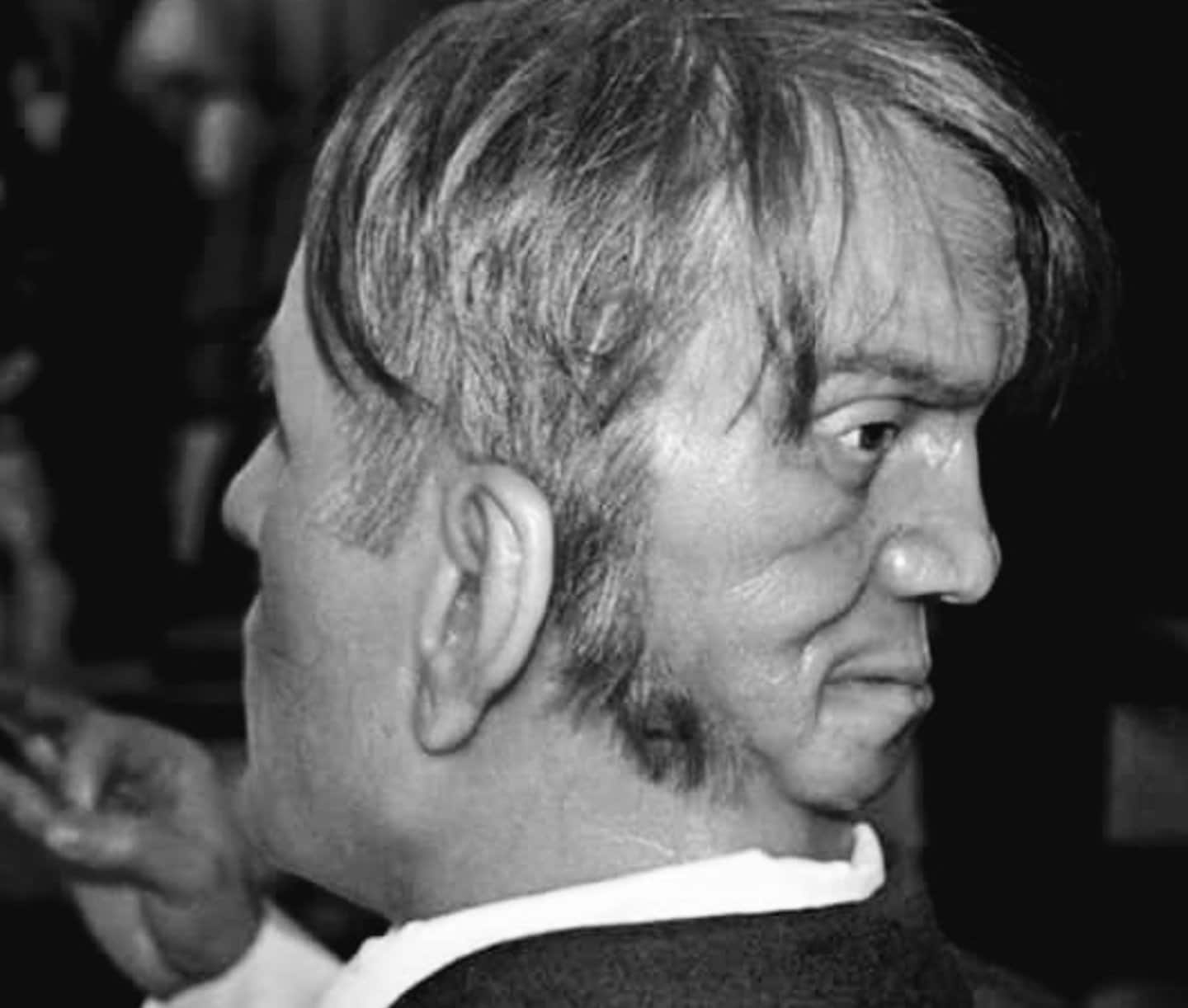 Edward Mordrake: l'uomo che aveva una testa e 2 facce - foto